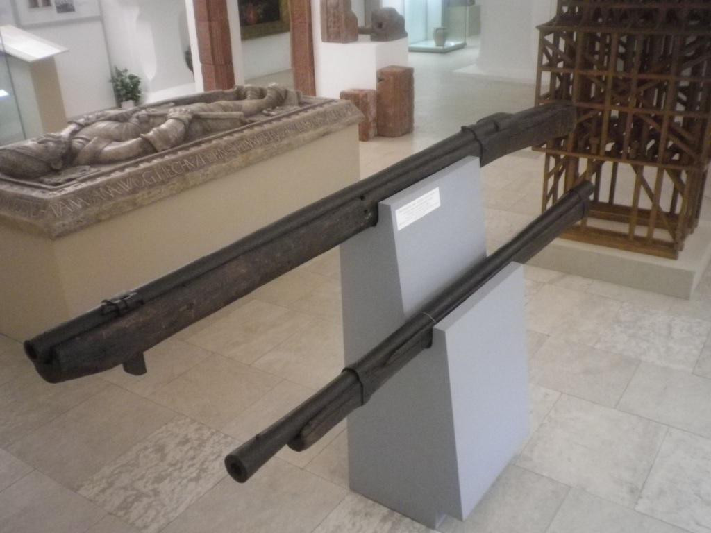 hákovnice zbran | ČtiDoma.cz